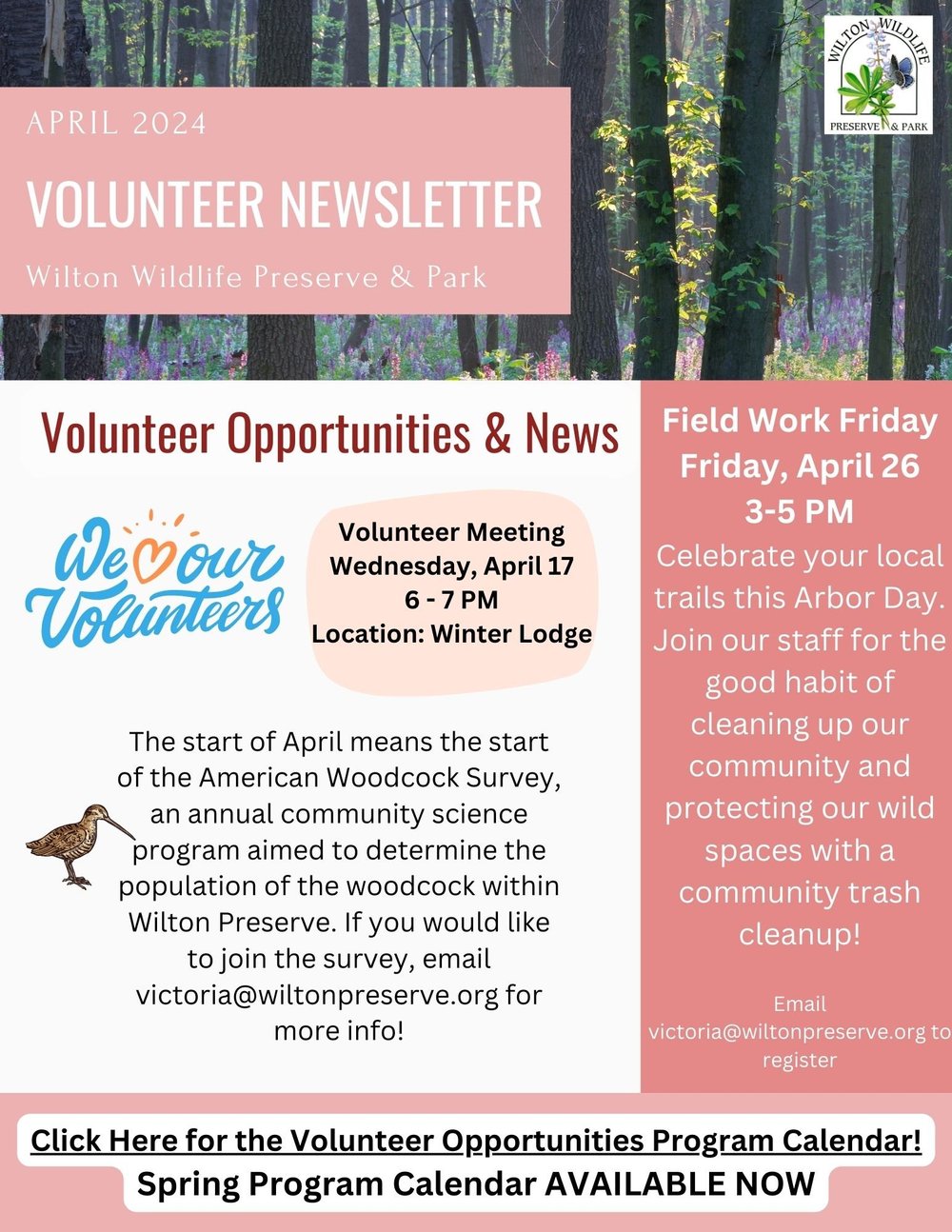 Volunteer Hub