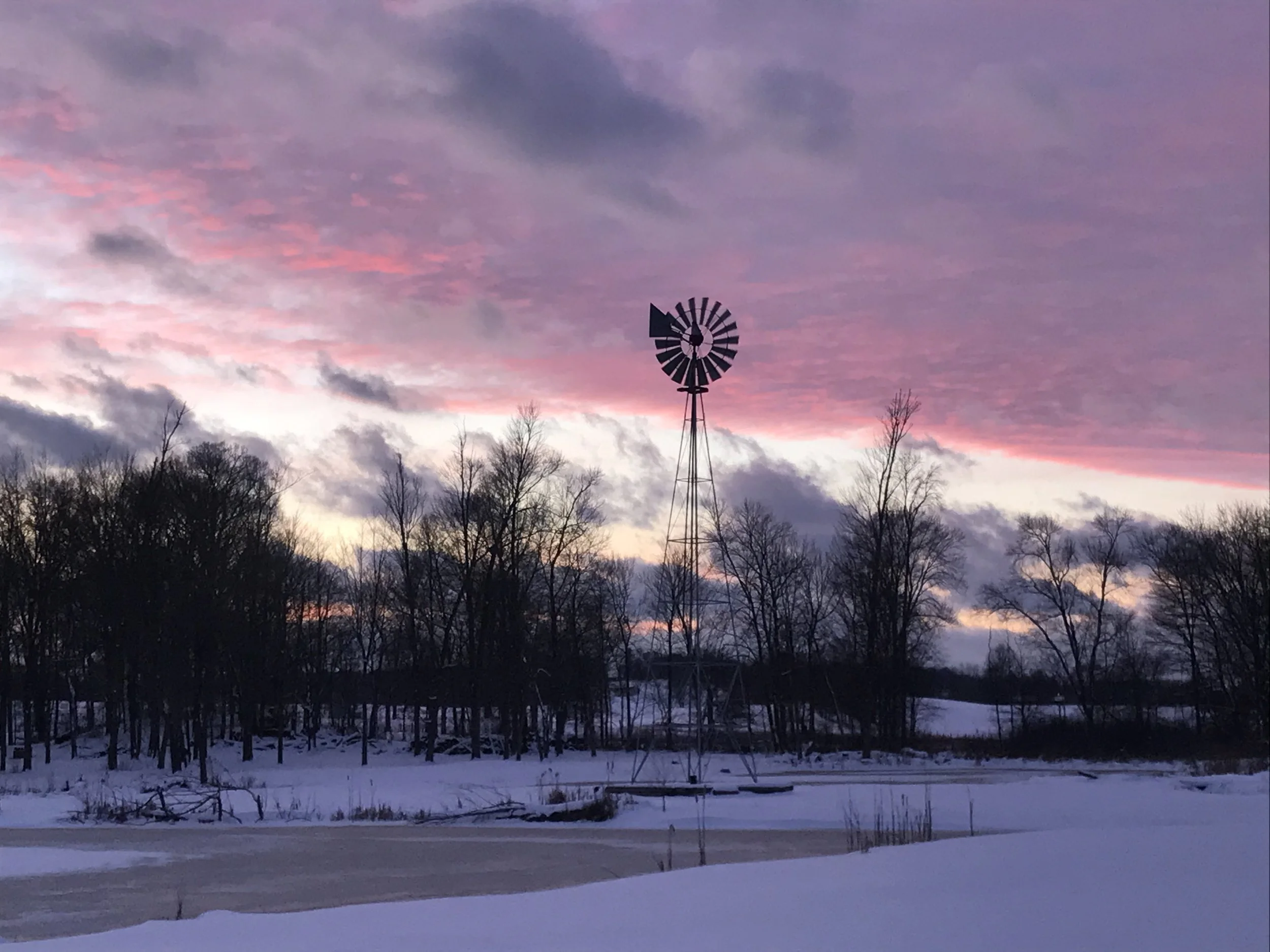 Upcoming Events — The Ponds Venue