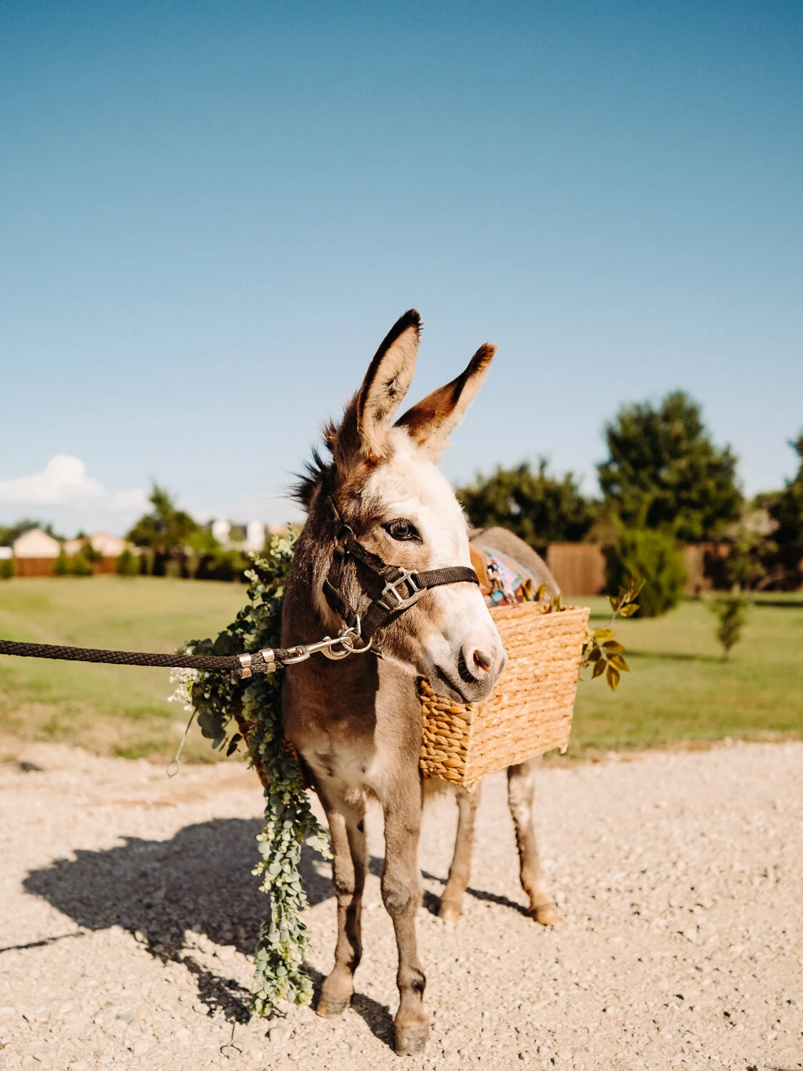 Gallery 3 — The Melissa Barn at HD Ranch