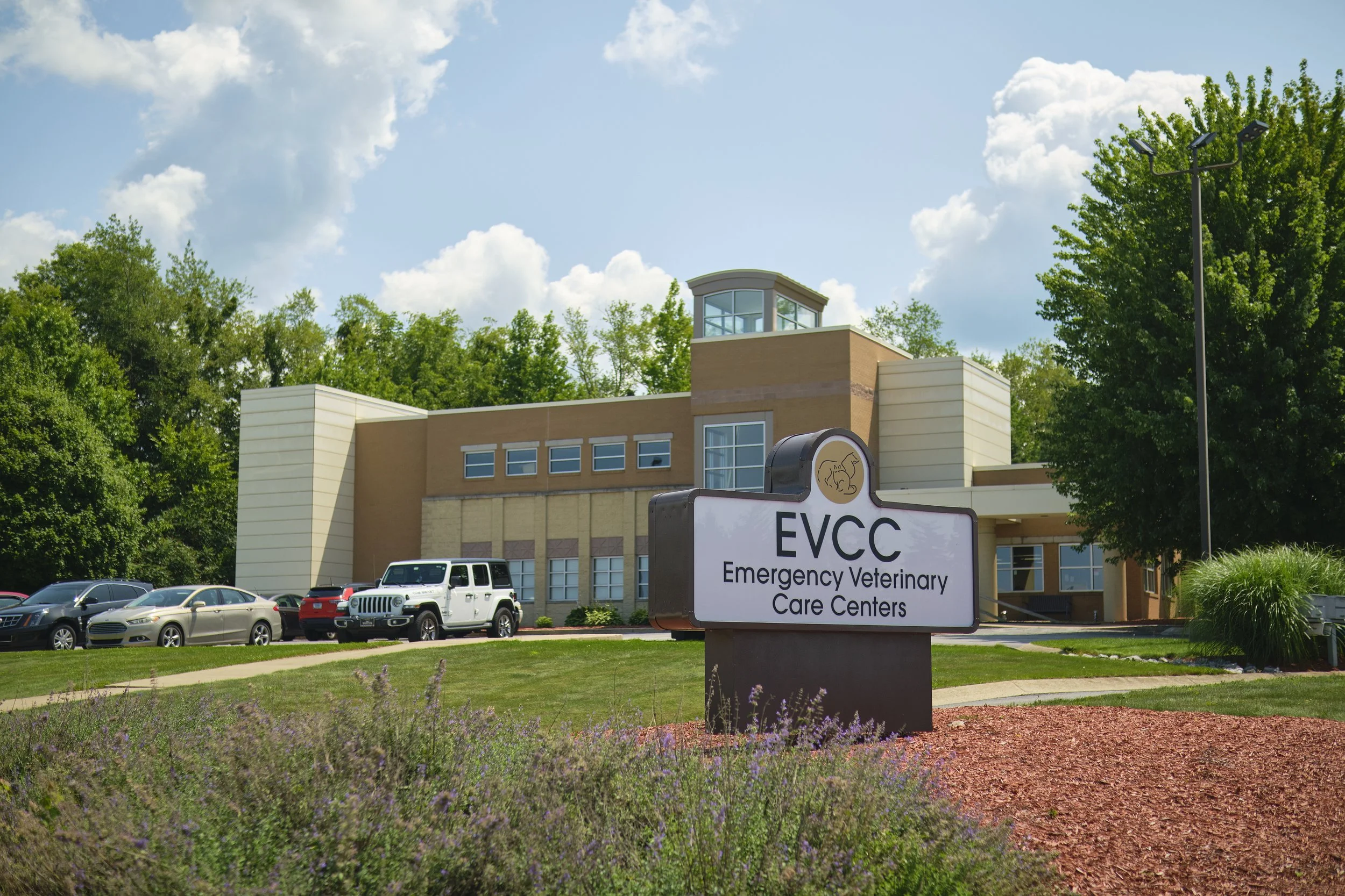 Small Business — DMZ Productions | Marketing & Film