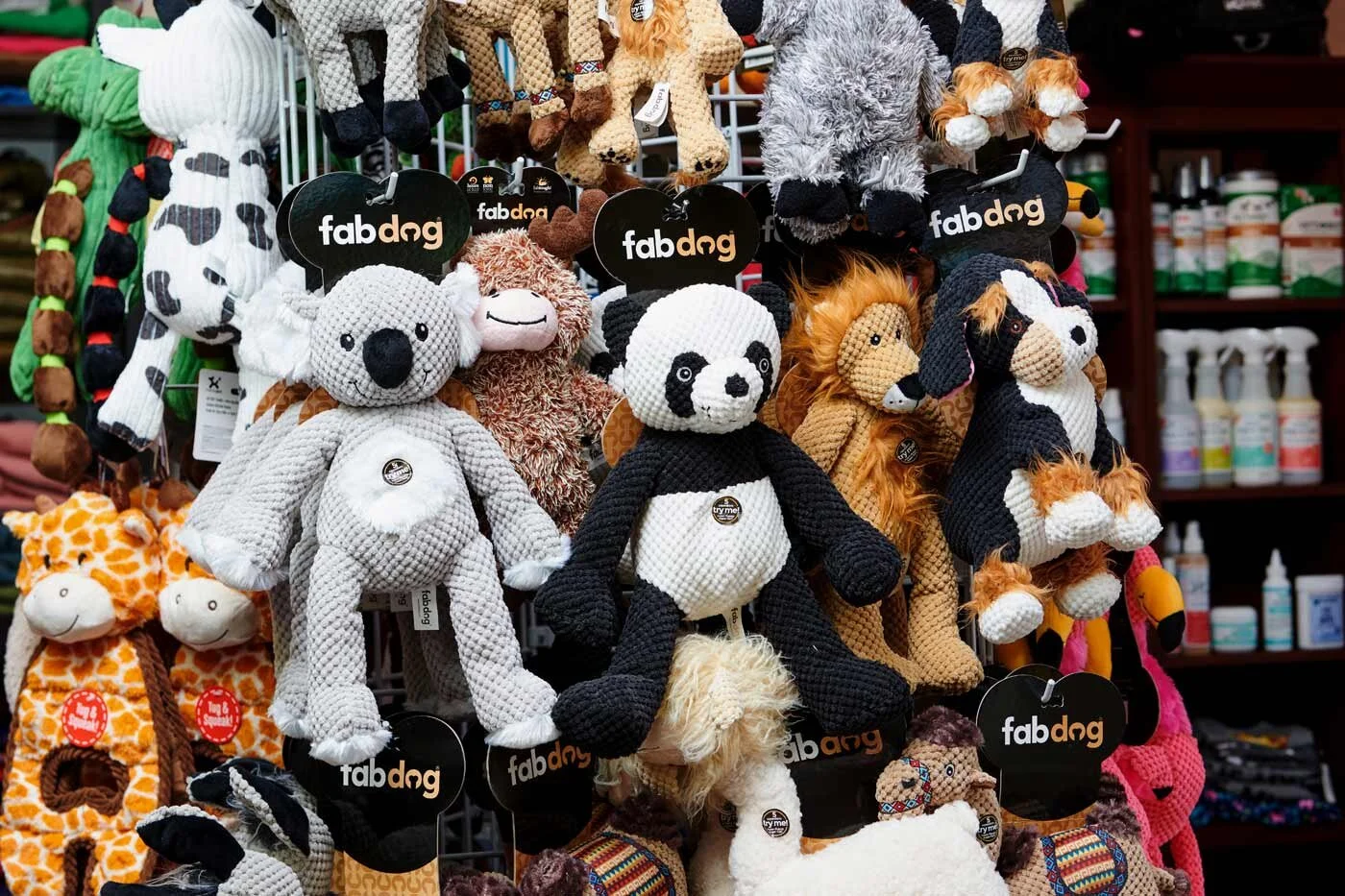 Gallery | Wag! A Unique Pet Boutique | Pet Store Hendersonville, NC