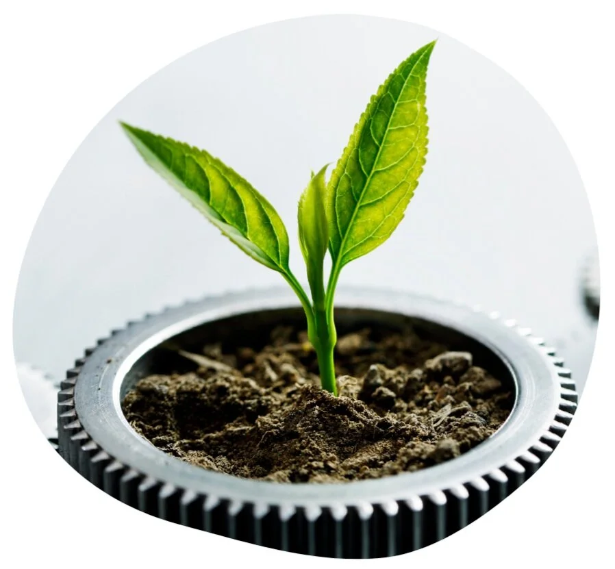 Corporate Responsibility — Gerpa Goods