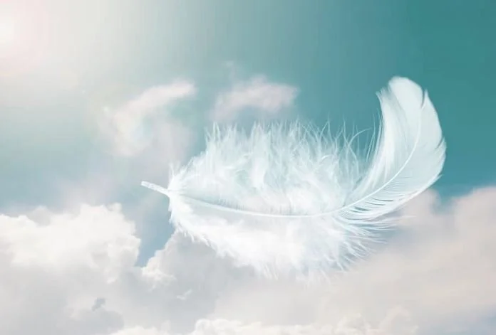 About — Debbie Malone