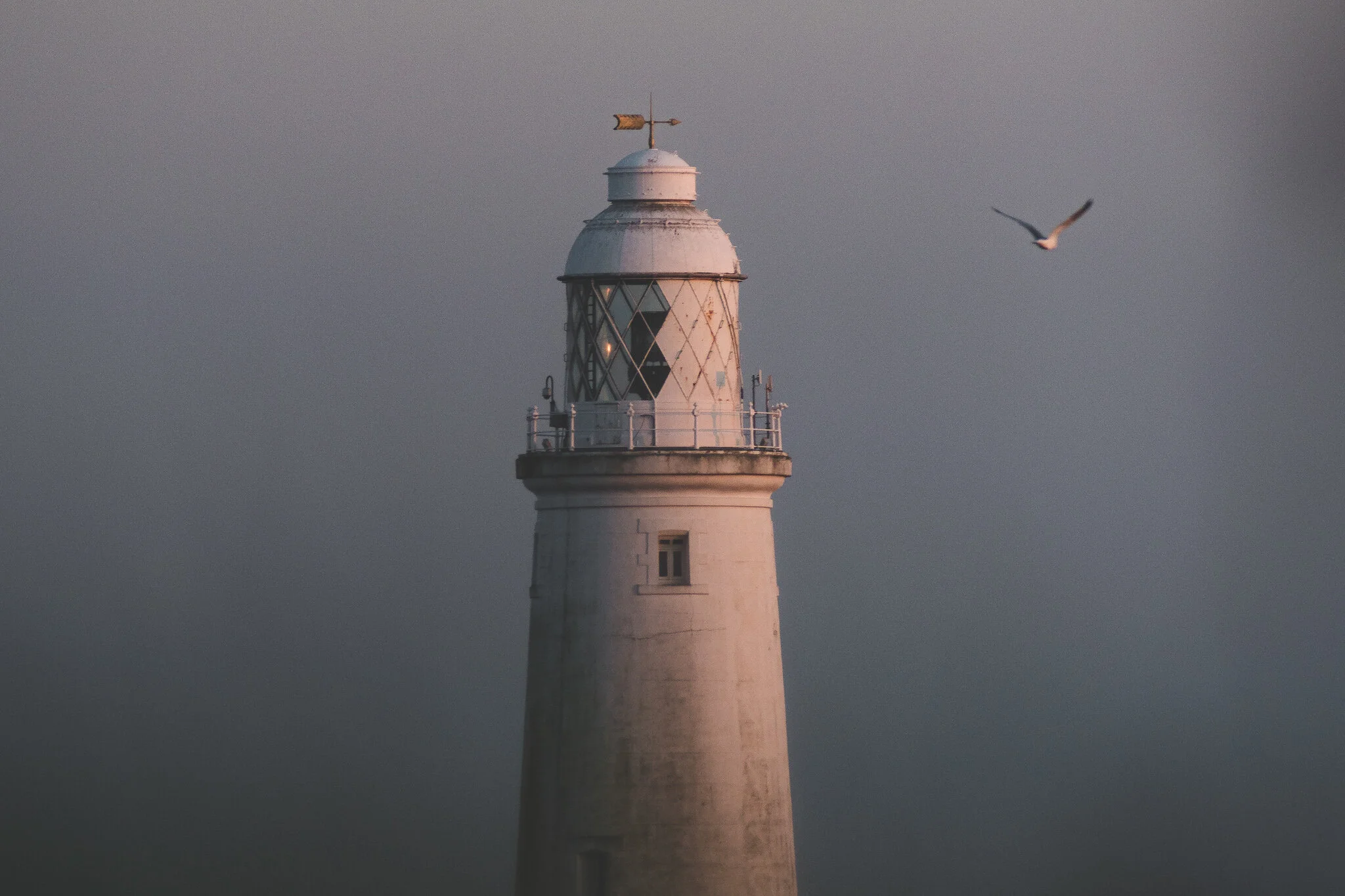 Northumberland's Unmissable Lighthouses — Northumberland 250