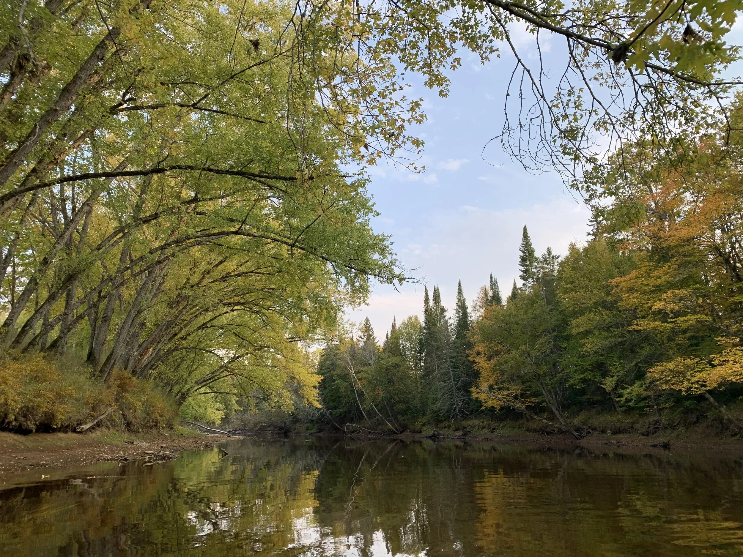 Canot, kayak et paddle board - Rouge et Diable - Mont-Tremblant, Qc