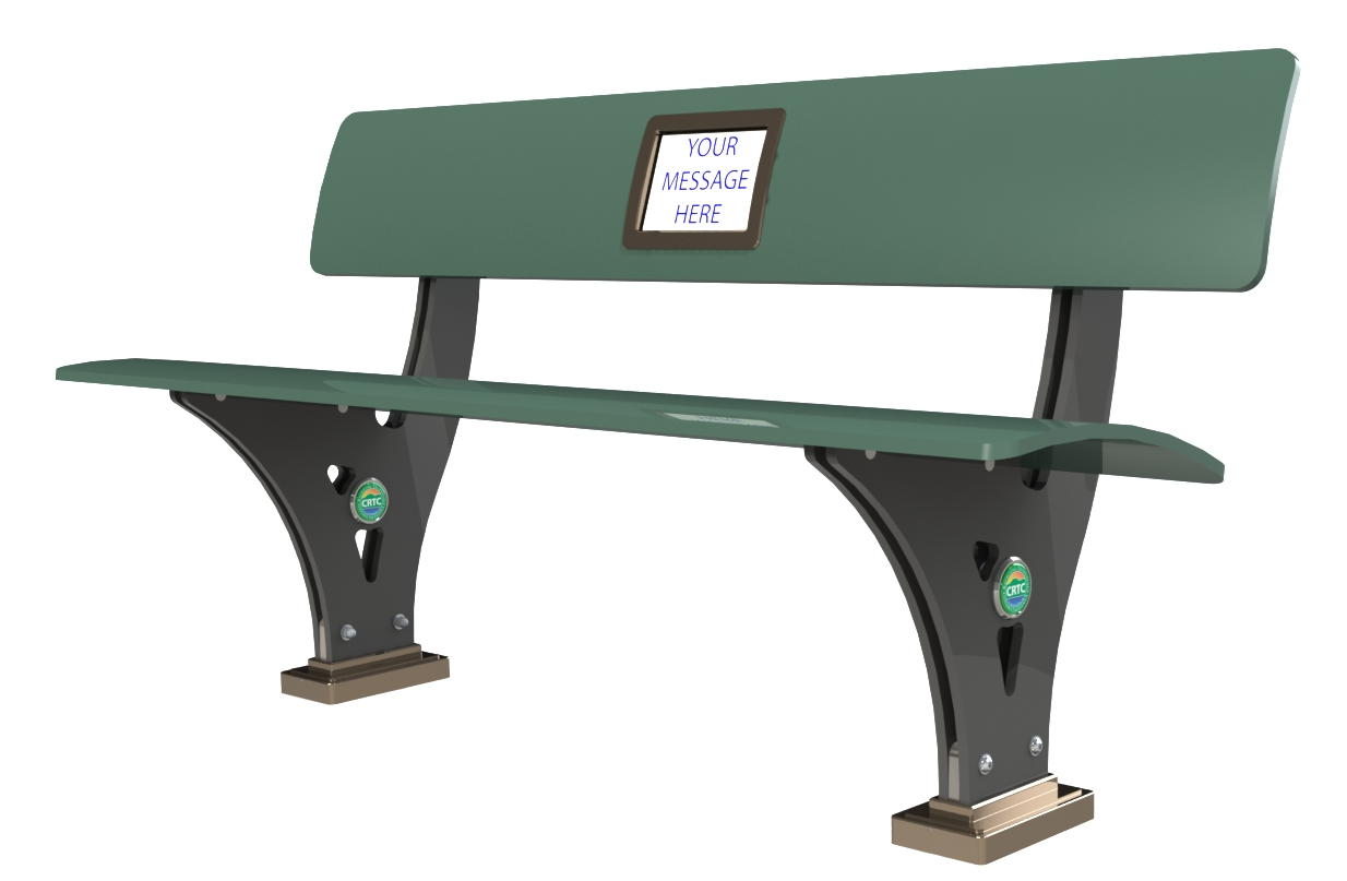 Carbon solutions: transforming undervalued resources into sustainable ...