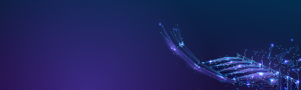 About Us Discover Networks