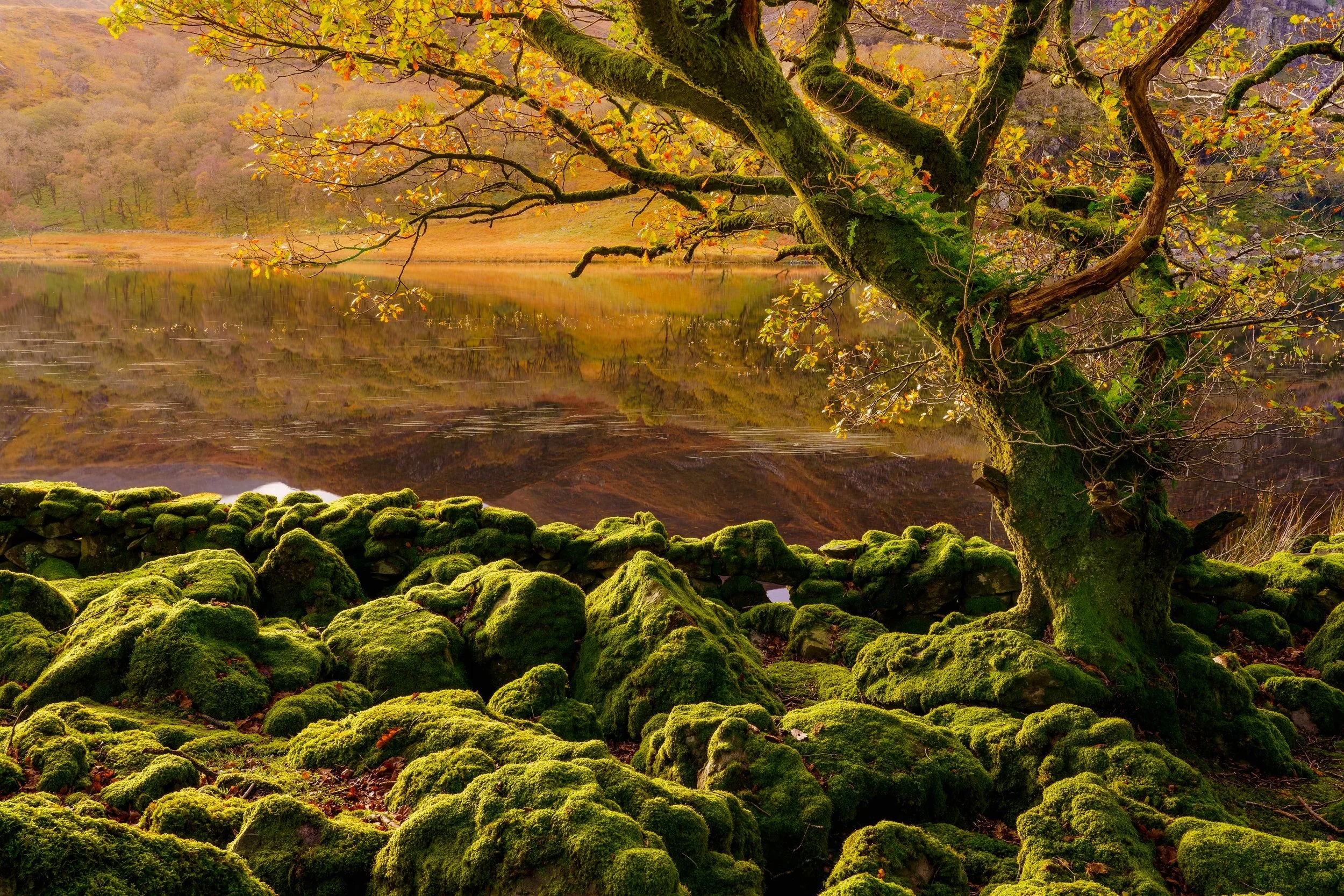 Landscape Photography Prints from Shropshire and UK