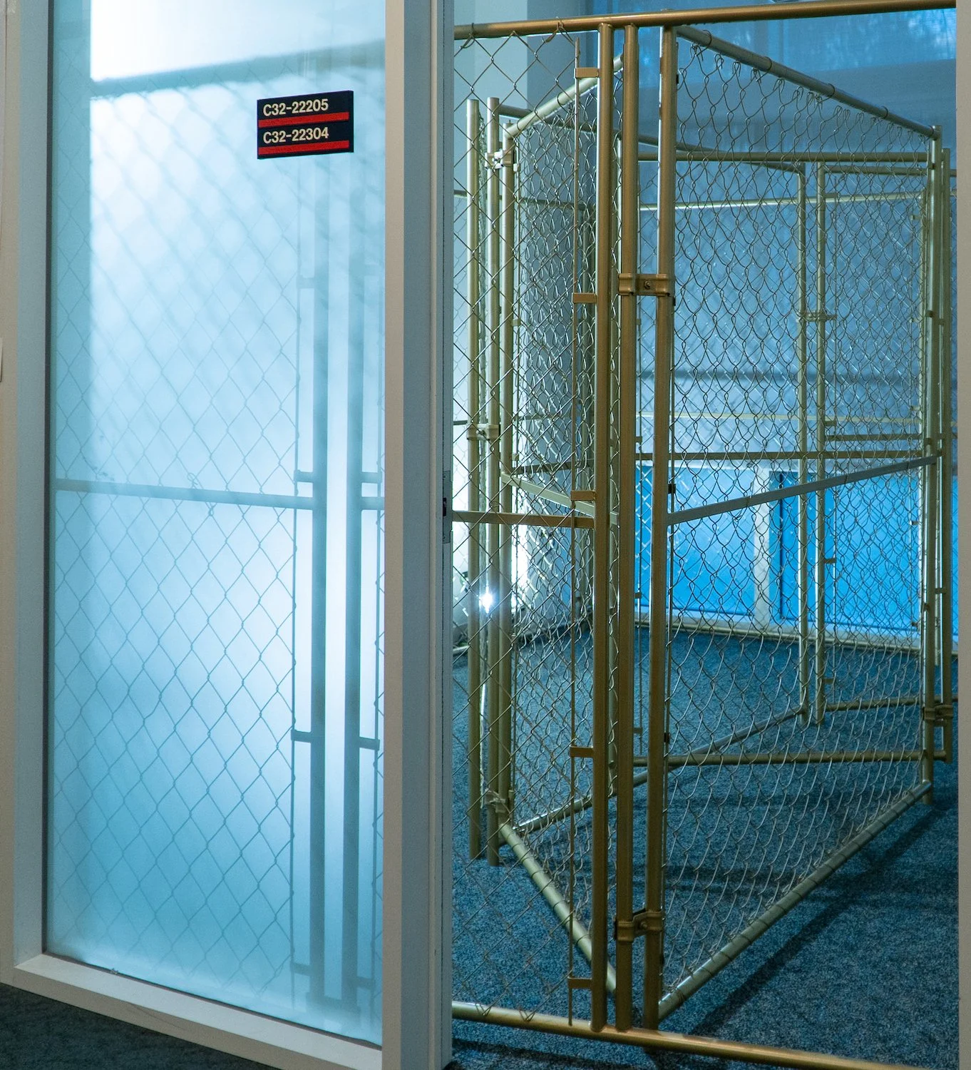 Kids in Cages — Margaret Roleke