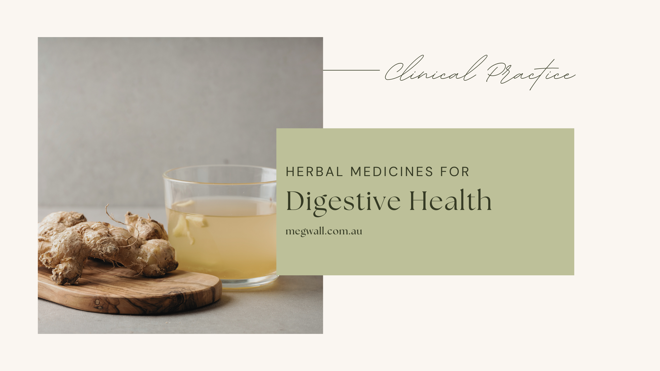 Herbal Medicines for Digestive Health — Meg Wall Sunshine Coast Herbalist