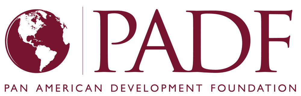 NOS PARTENAIRES — Viva Rio Haiti