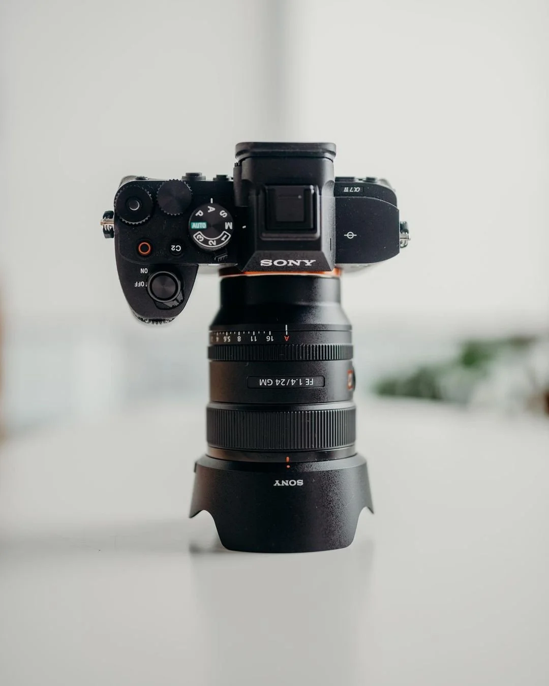 Should you buy the Sony A7IV in 2025? — Calgary & Central Alberta ...