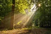 EMDR Exercises To Do At Home — Courage to Heal Therapy | Broomfield, CO