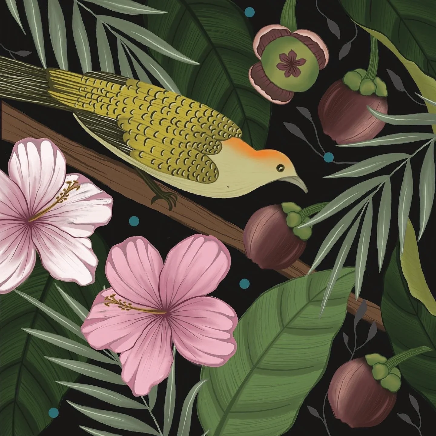 Hosa Goa — Roy Studio