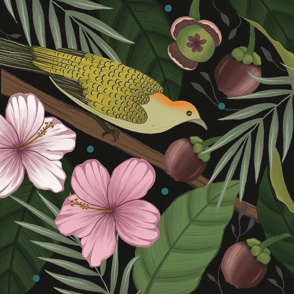 Hosa Goa — Roy Studio