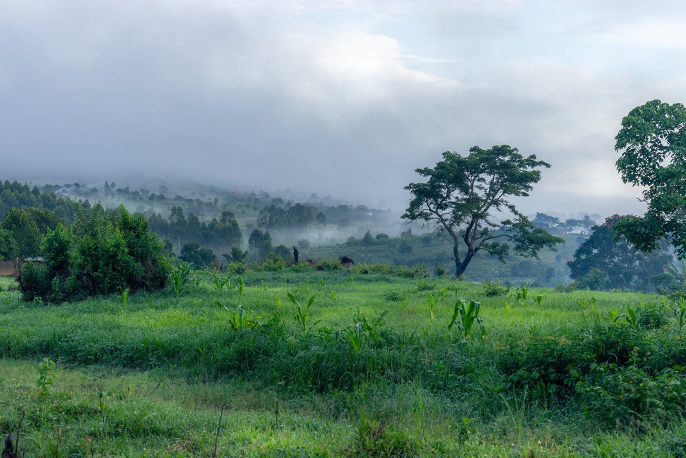 Fun Facts About Uganda — The Kafunjo Community Project - US, Inc.®