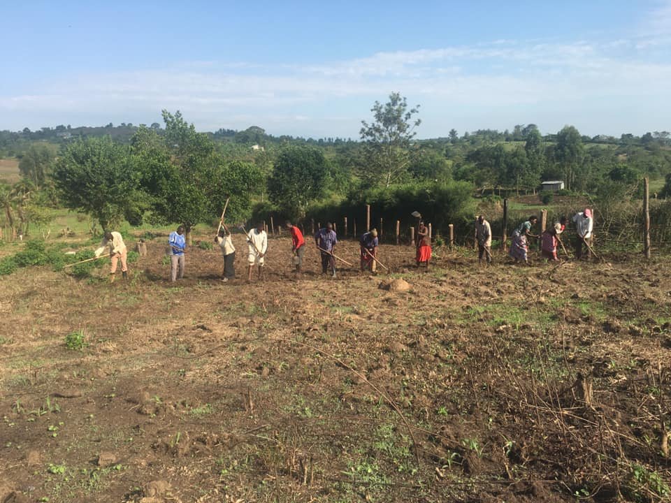 Agriculture — The Kafunjo Community Project - US, Inc.®