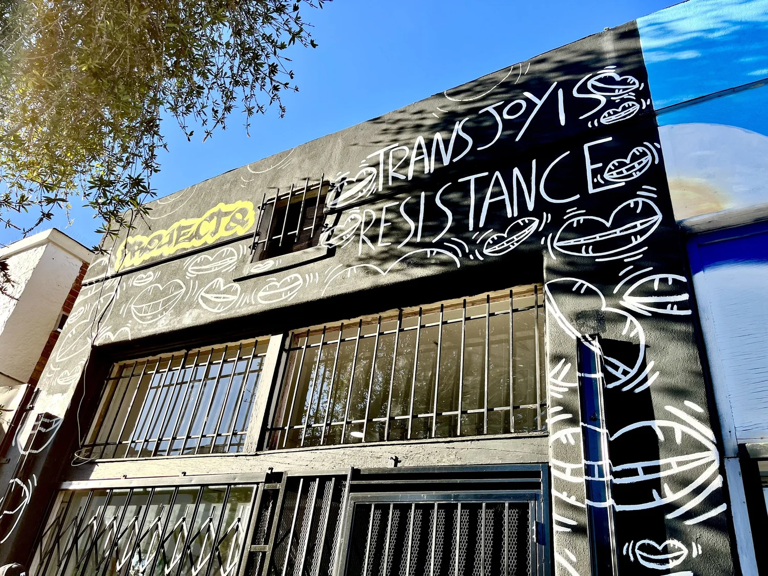 ProjectQ Commissions “Trans Joy is Resistance” Mural for Los Angeles ...