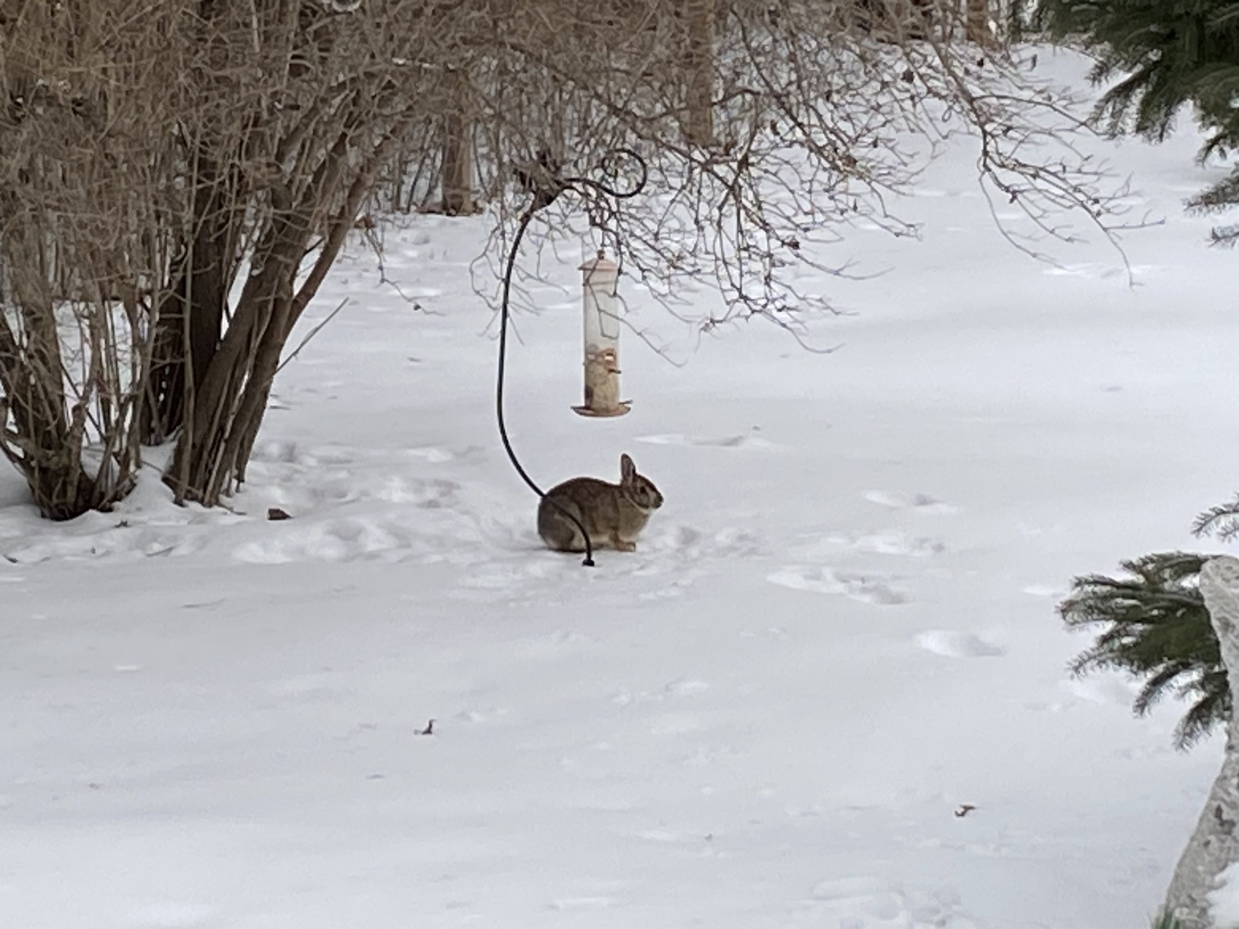 Musical memories… — The Second Half