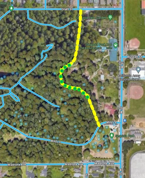 canopy — Maker's Apron