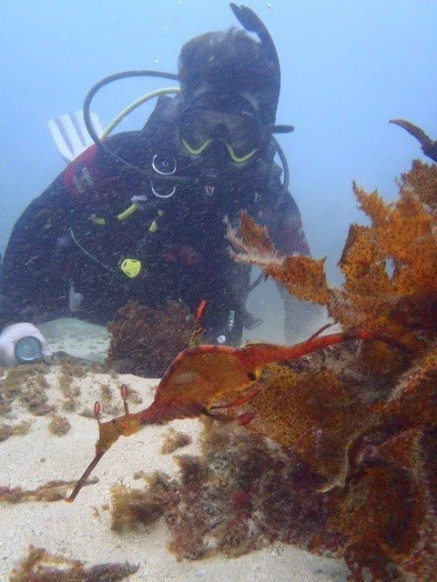 Cross Element Staff — Cross Element Divers