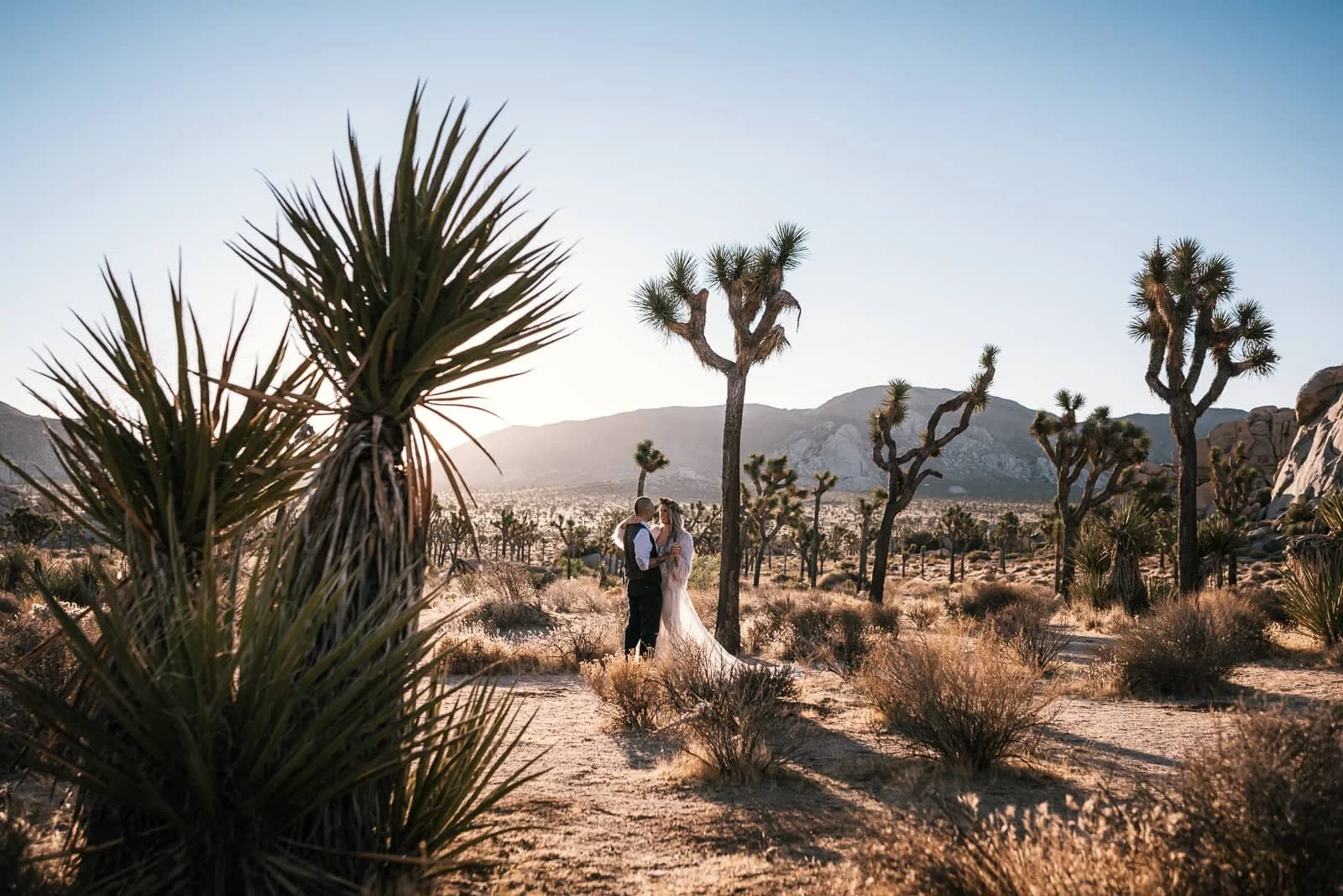 Magical Fall Boho Elopement in Joshua Tree — Adventurous Elopements by ...