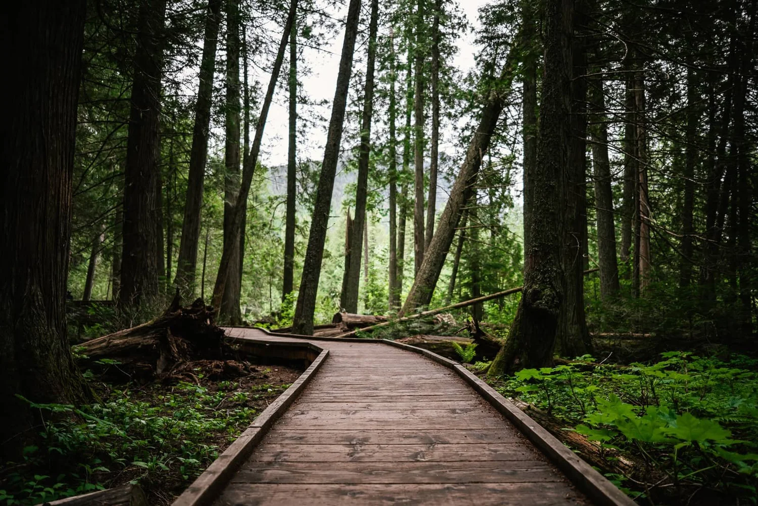 Where to have your Glacier wedding ceremony