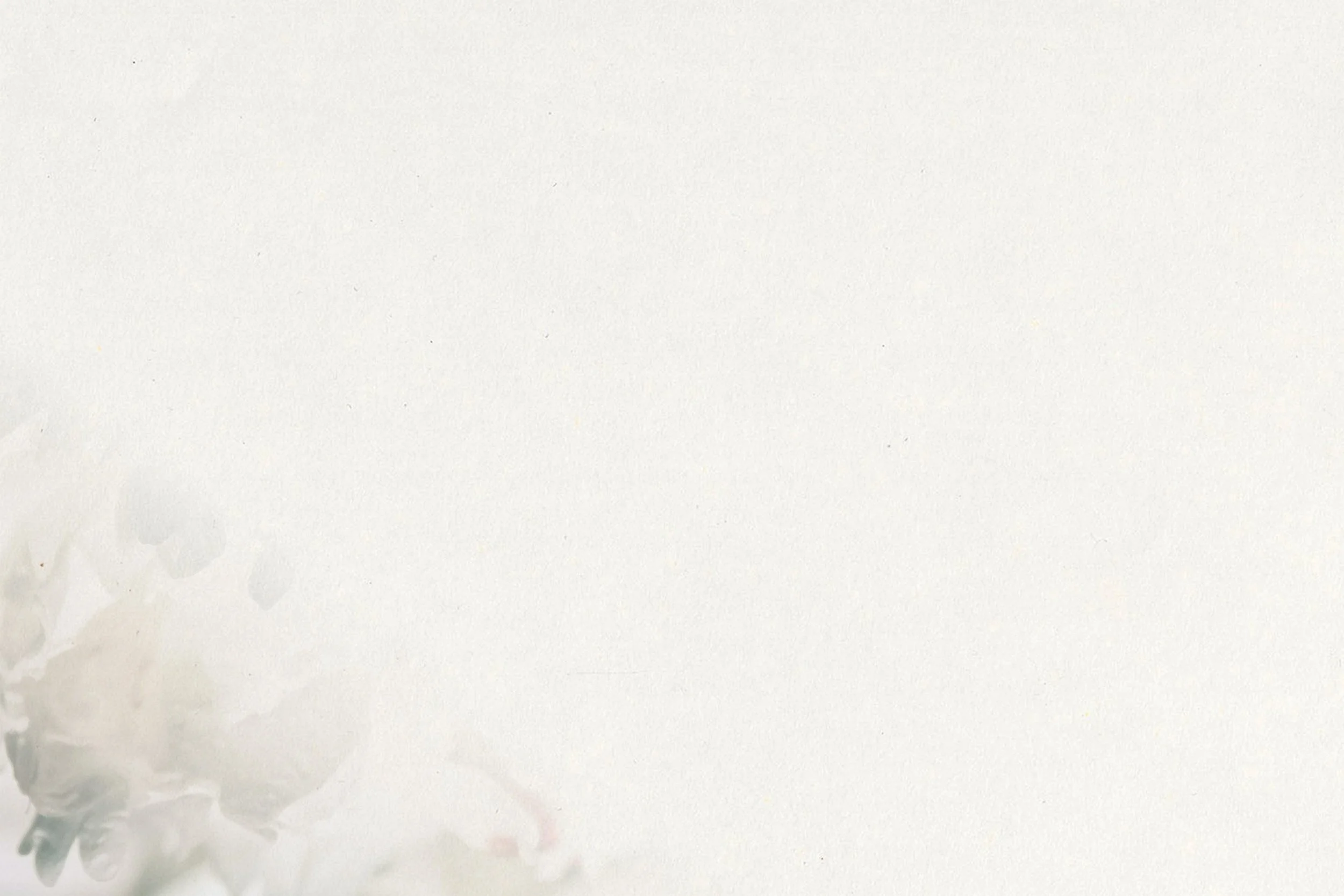 Biography — Ruby Todd | Author