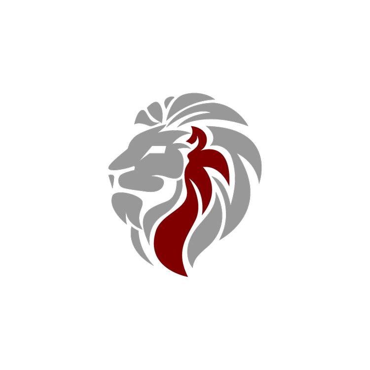 🛠️ Practical Guide to Using Monarch Money (For Active Users) — Lionhood ...