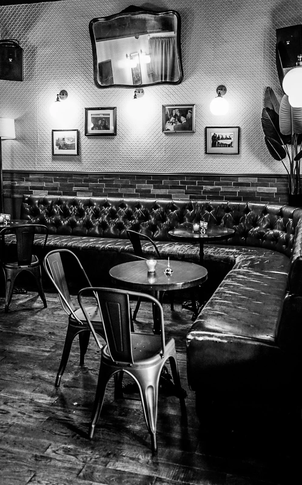 Gallery — Bonnie Vee