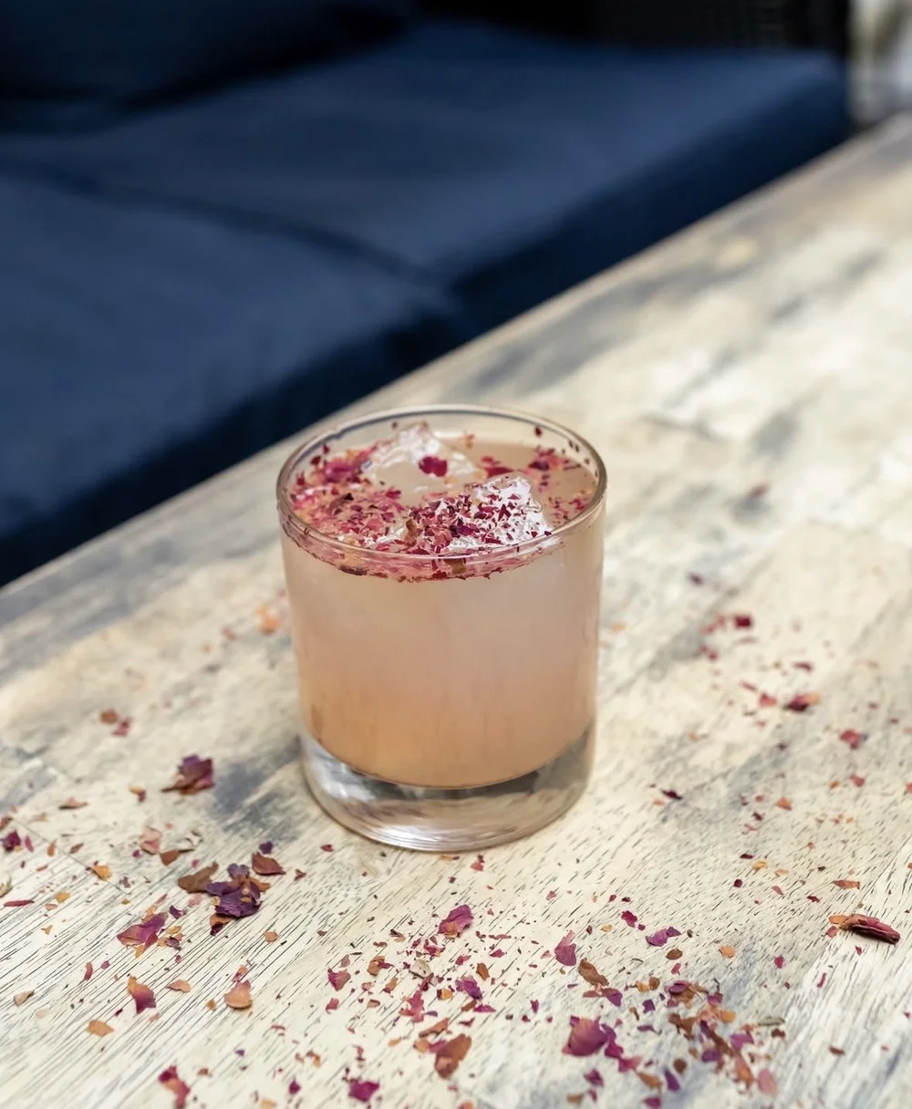 Gallery — Bonnie Vee