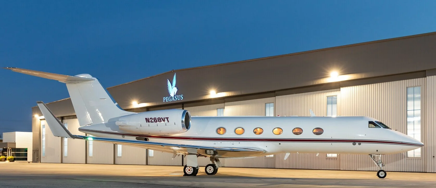 Fleet — Pegaus Elite Aviation