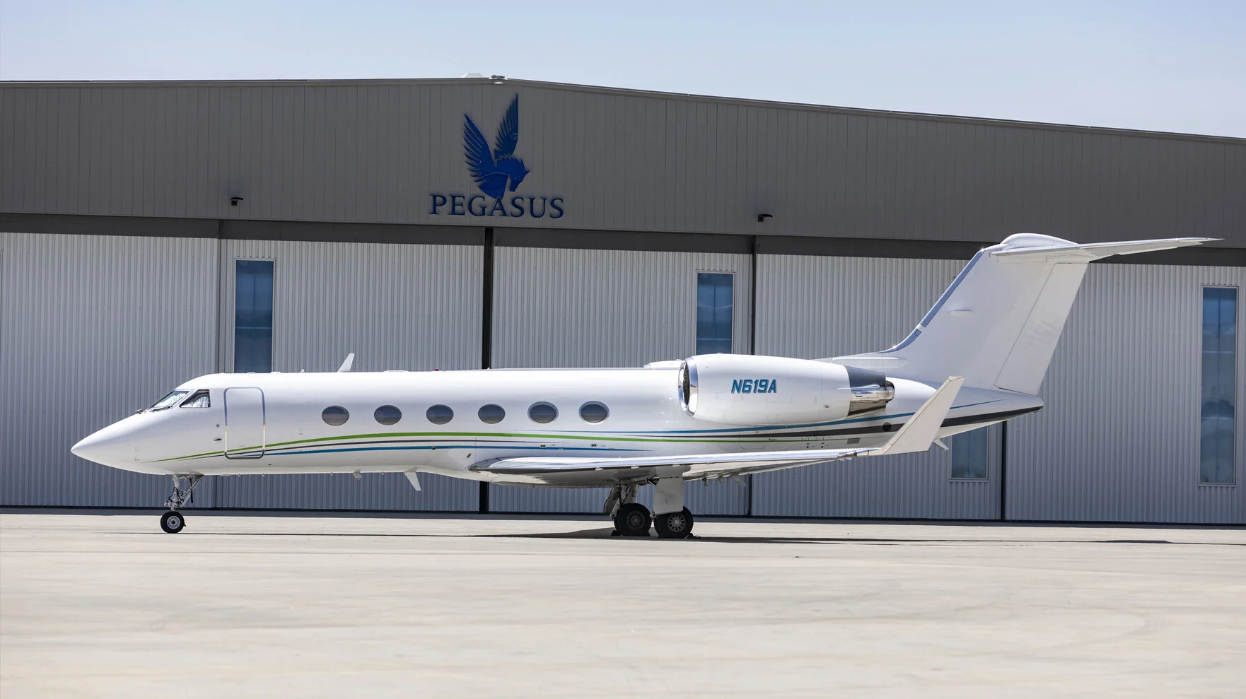 Fleet — Pegasus Elite Aviation