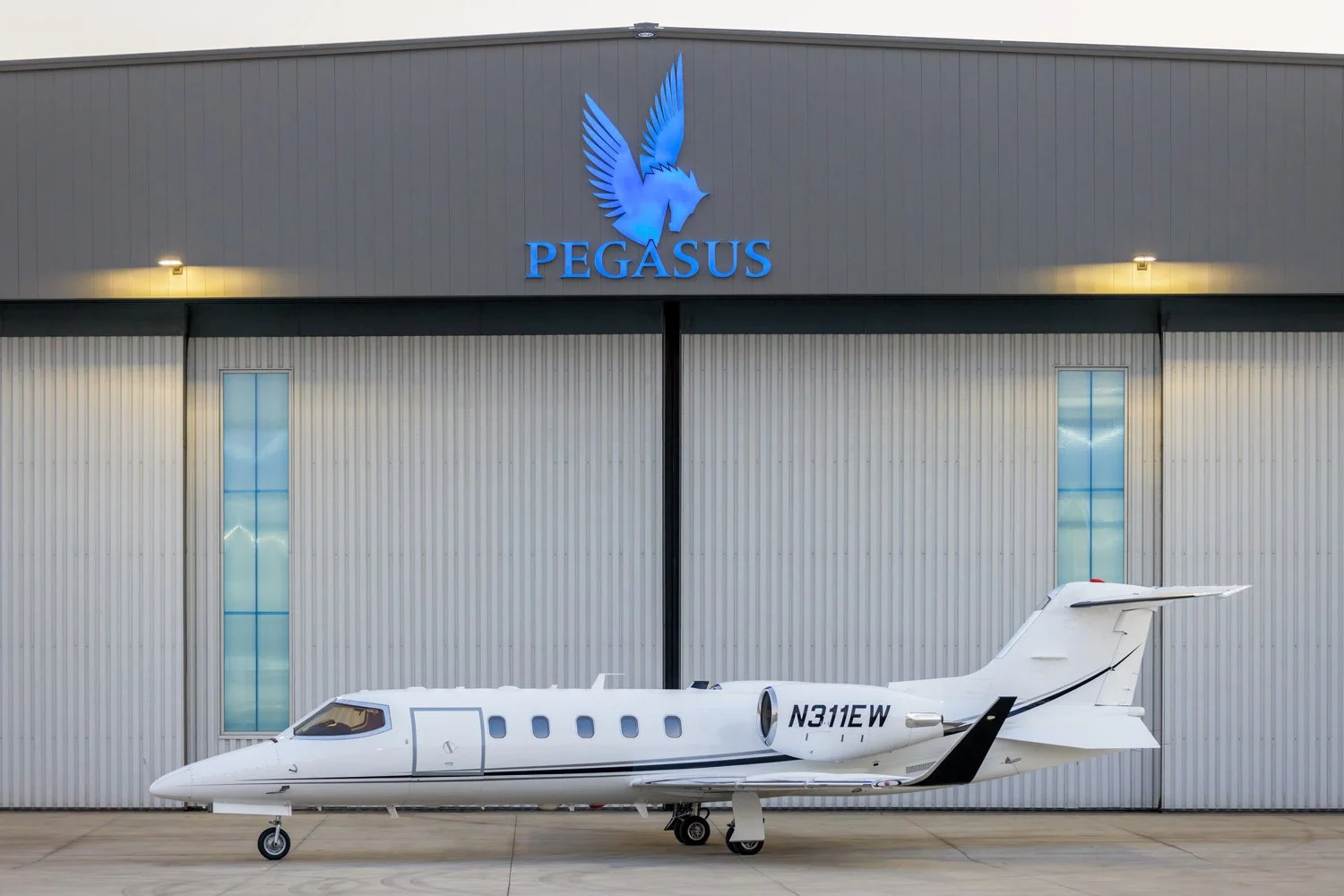 Fleet — Pegaus Elite Aviation