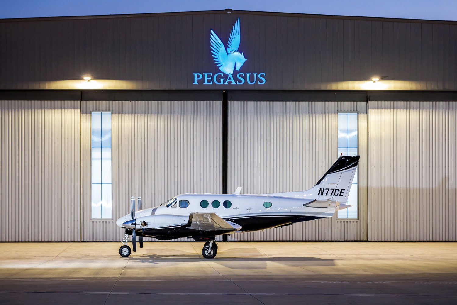 Fleet — Pegasus Elite Aviation