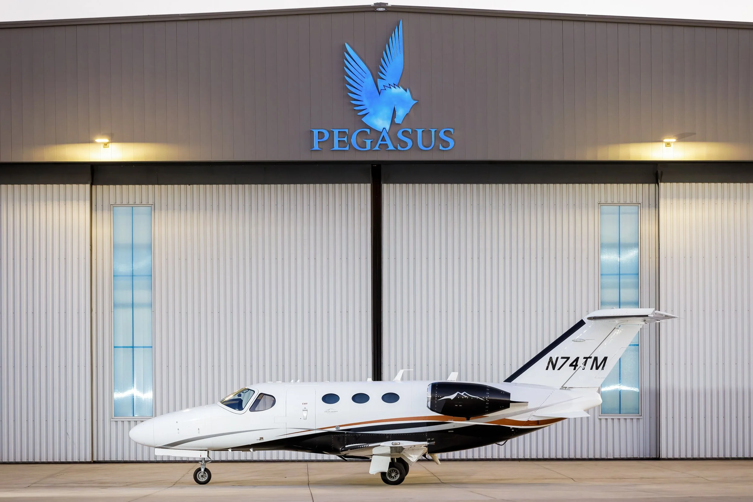 Fleet — Pegasus Elite Aviation