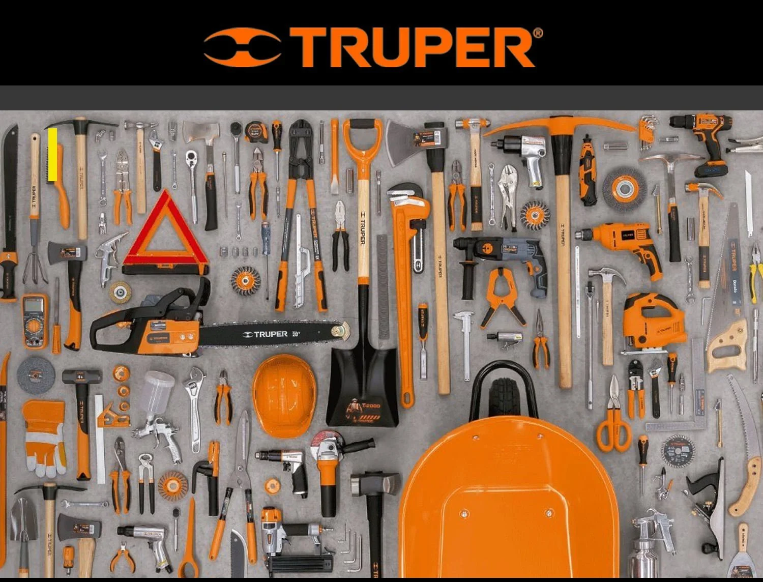 TRUPER — MIDORI Ag