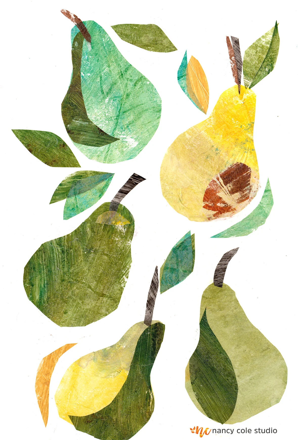 nancy cole studio