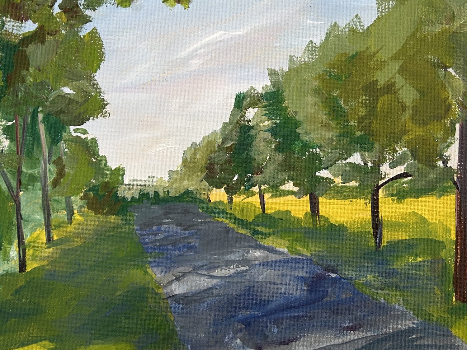 nancy cole studio