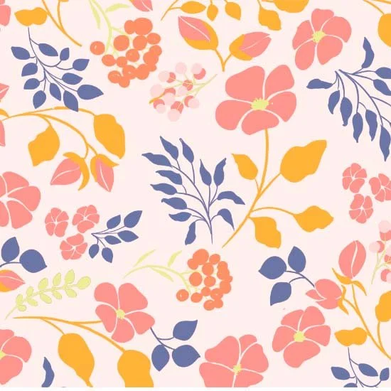 nancy cole studio