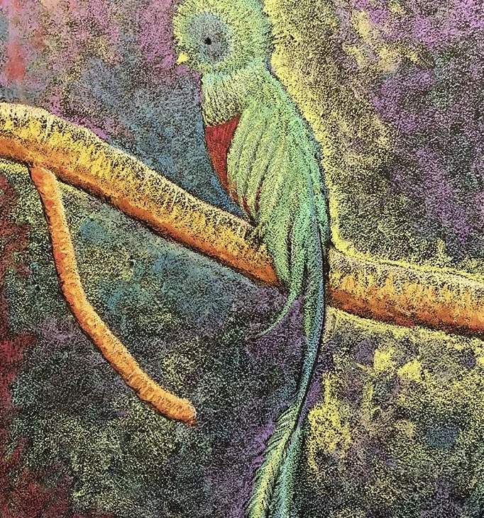 Maria Jose Fitzgerald Homepage