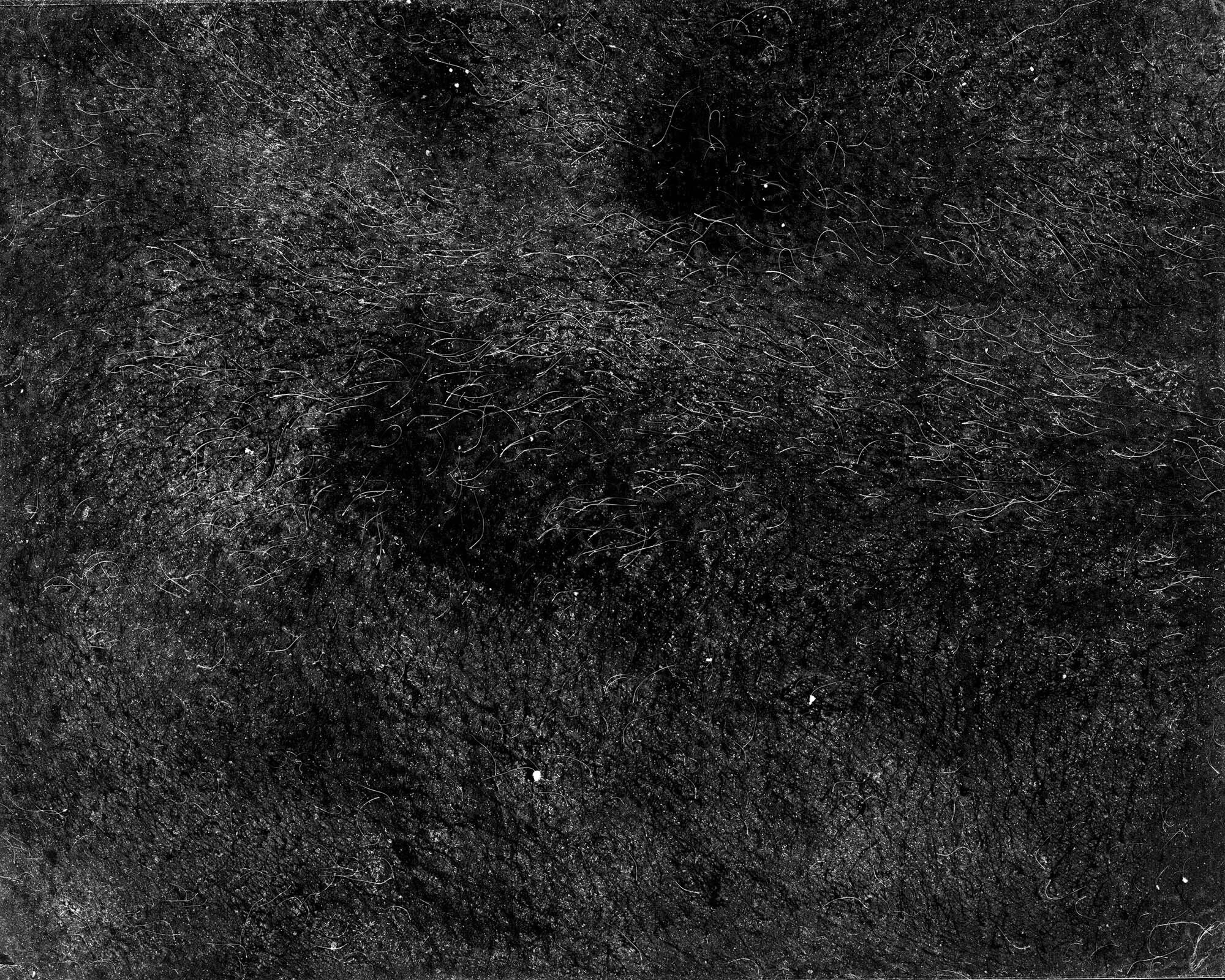 Skin Prints: Community & Collaboration —ATX 2021 Gallery