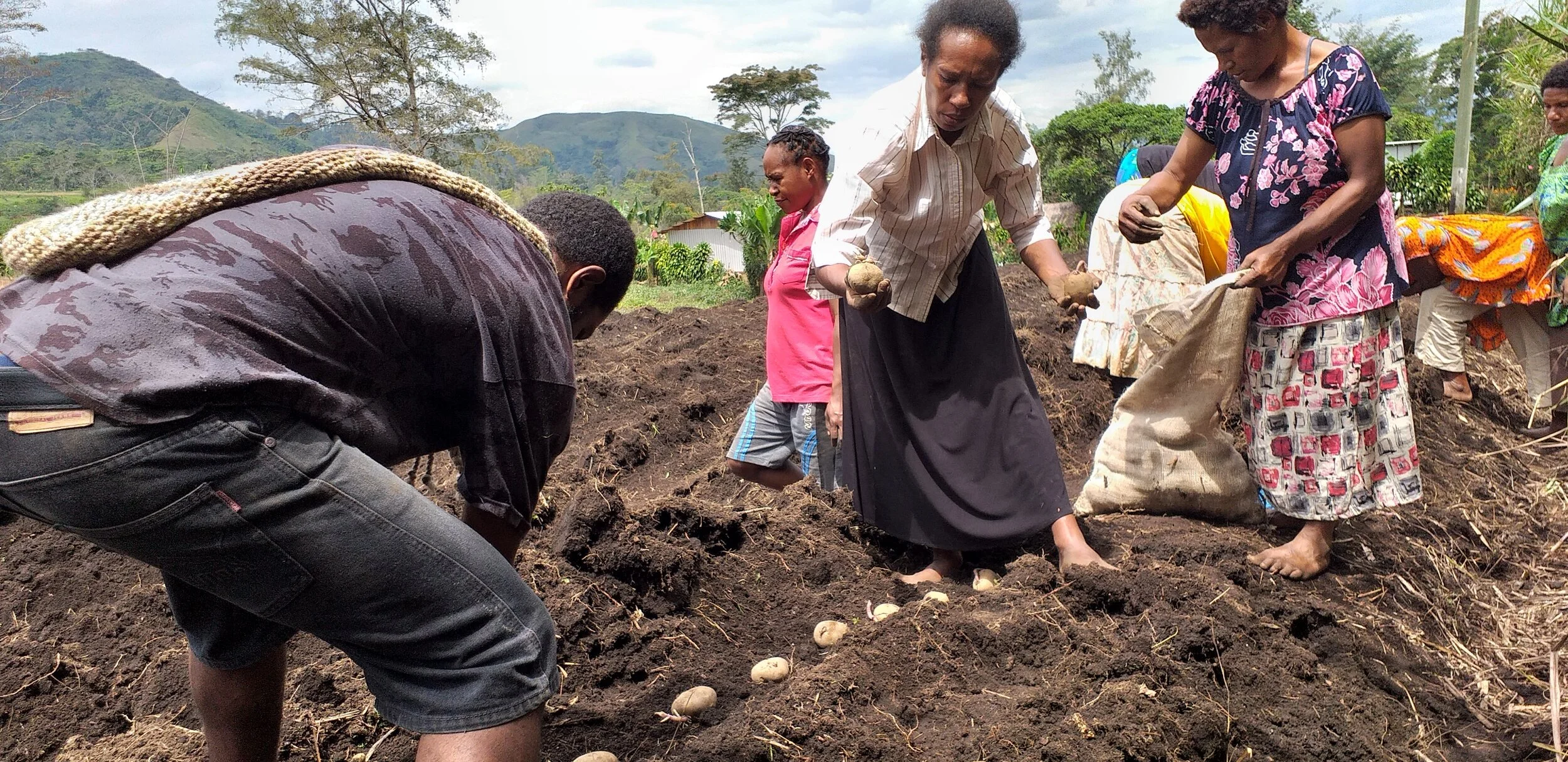 Innovative Agriculture (Agro) Industry Limited