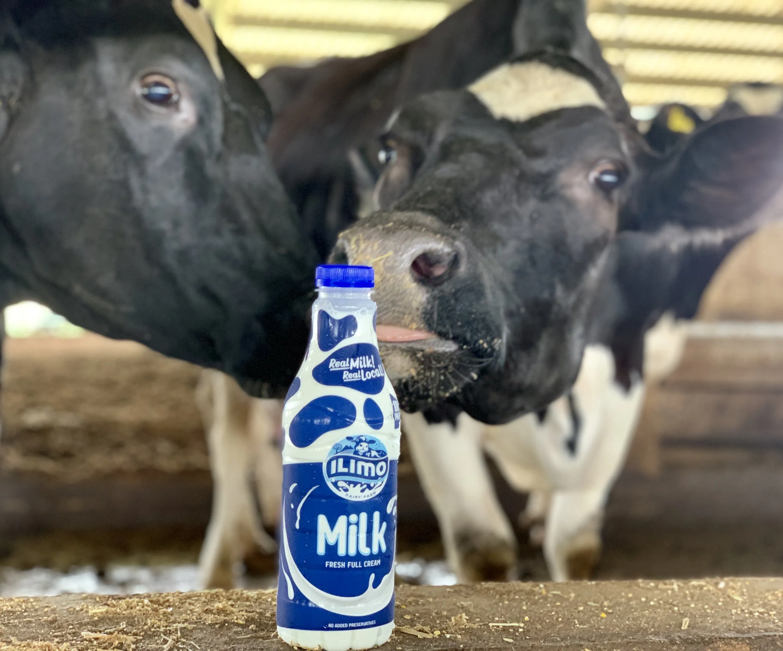 Innovative Agriculture (Agro) Industry Limited