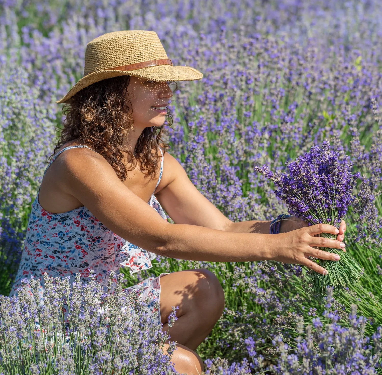 Lavender Fields Farm