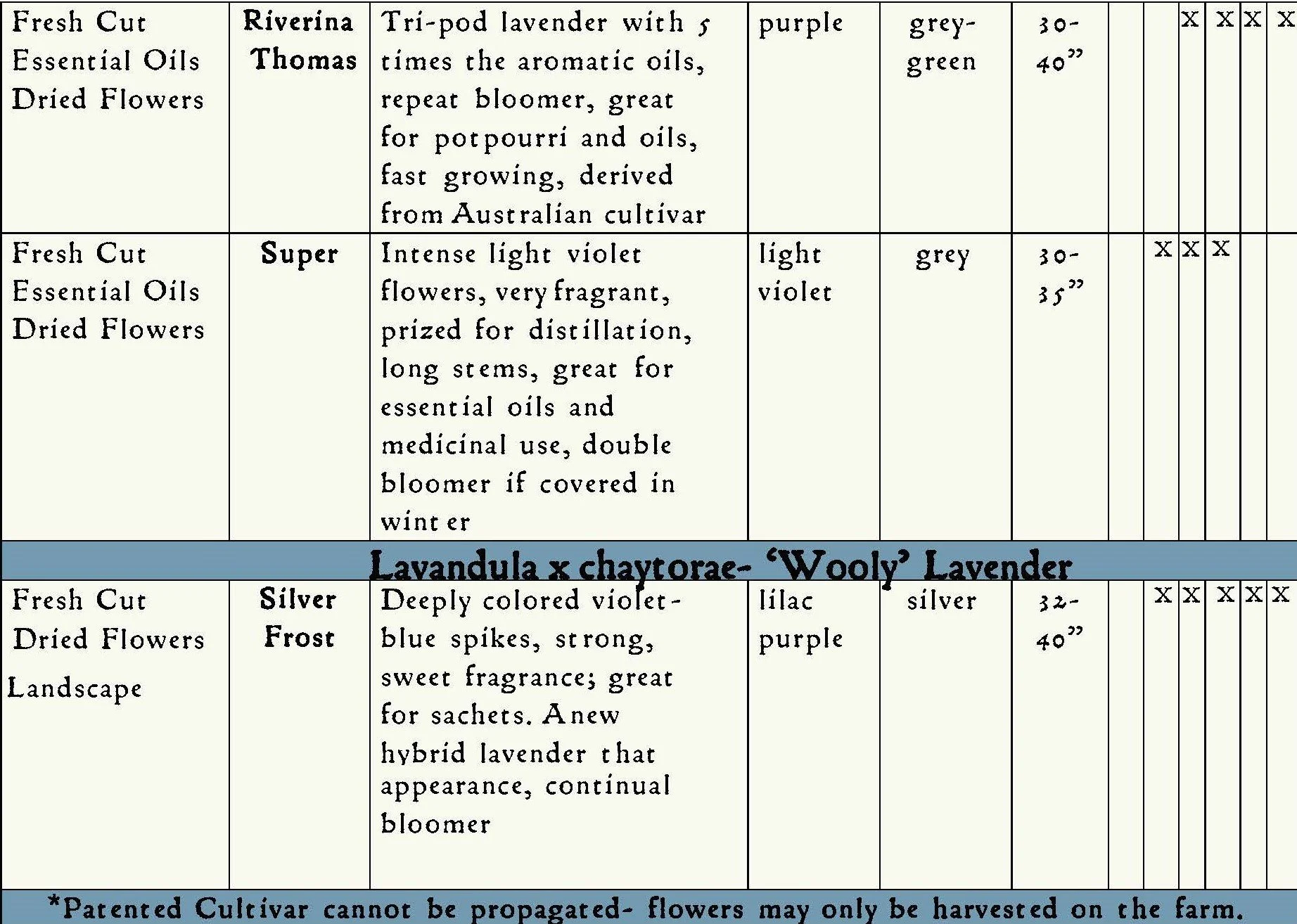 Lavender Specifications — Lavender Fields Farm