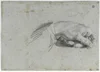 athena art foundation — The Carracci Drawings: The making of the ...