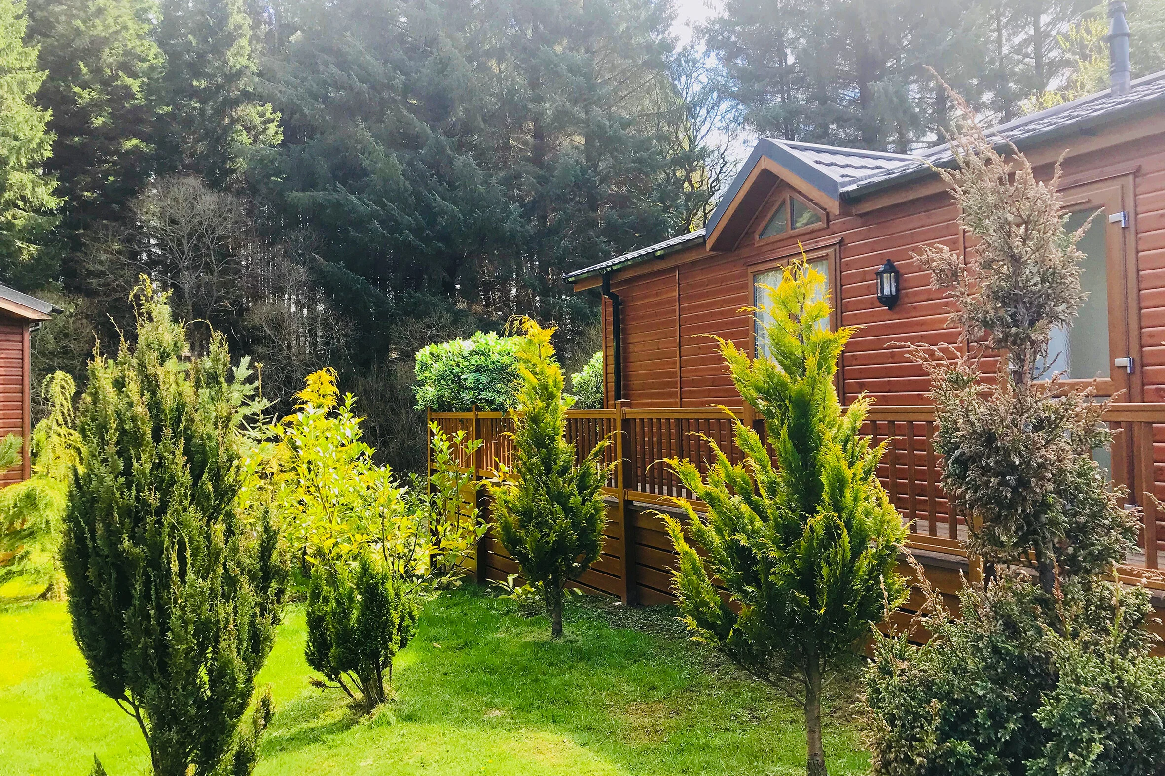 Puffin Lodge — Border Forest Holiday Park