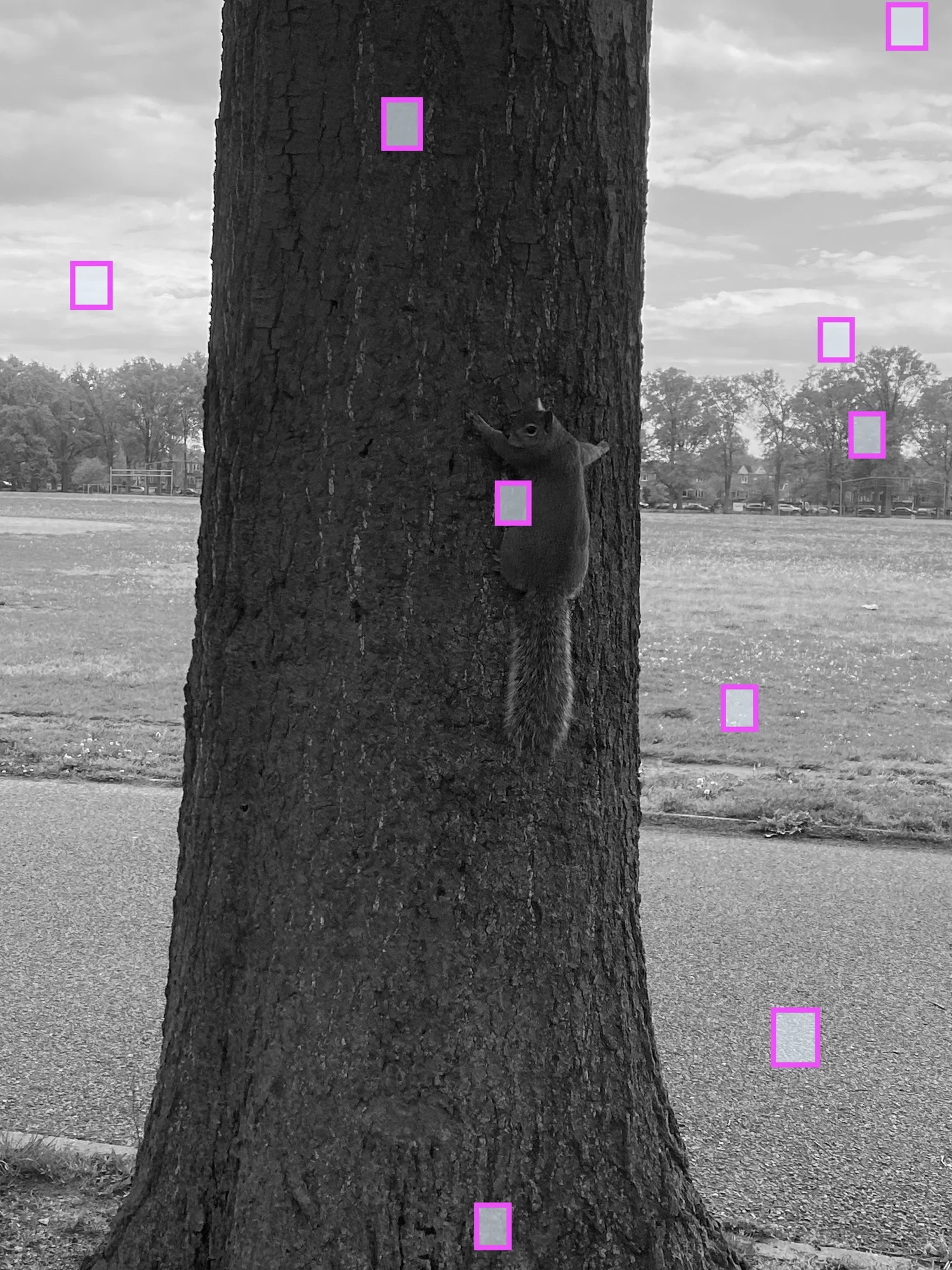 10 Engaging Ways to Introduce Value Scales to Students of Any Age ...