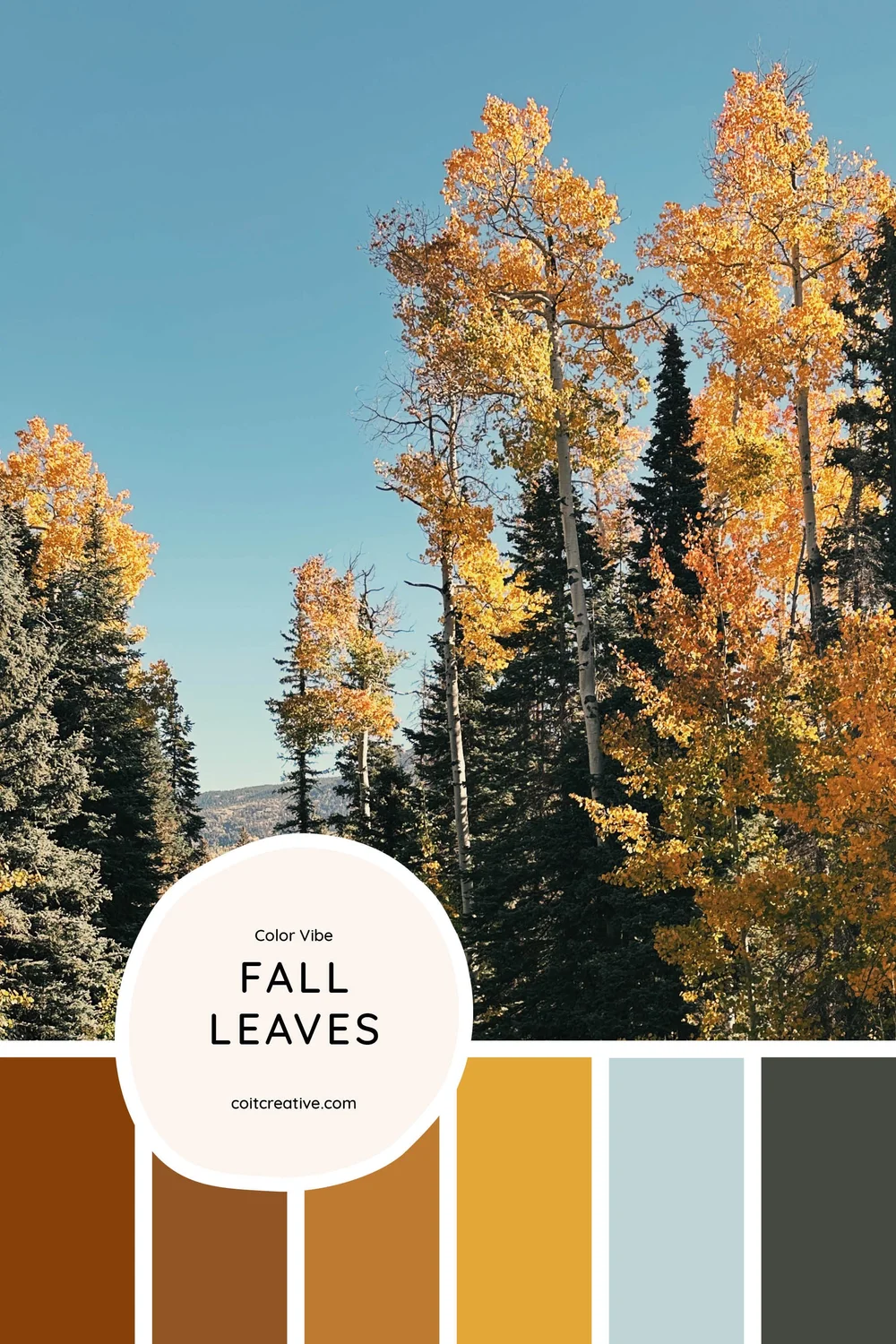 fall color palette for nursery and kids clothing — Coit Creative
